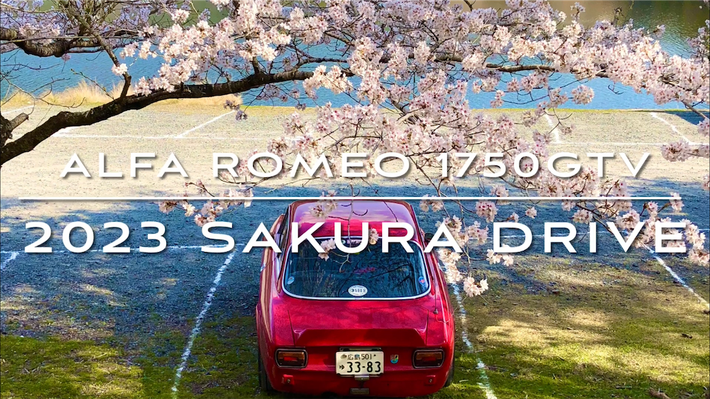 2023 Sakura Drive - おんぼろアルファ復活の日