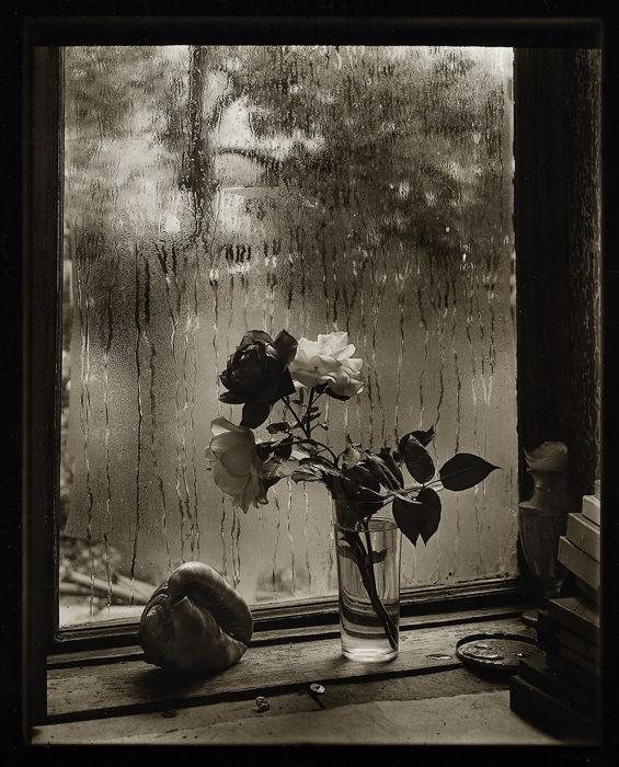 Emily Dickinson - If you were coming in the Fall, 原詩 / 訳 - Astro Japonica