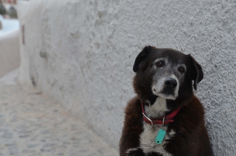 Datadog のクラウドコストマネジメント機能（AWS コストの可視化）が見やすくて便利 - OpenWork Tech Blog