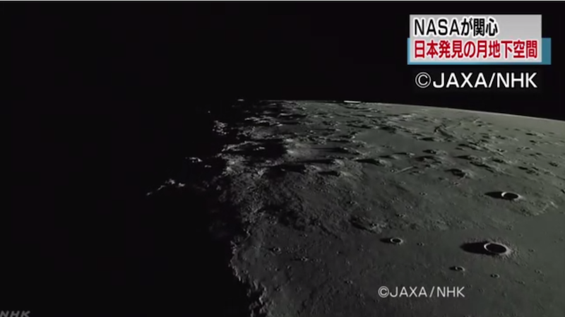 2025 - opuesto / Tate’s Official Blog