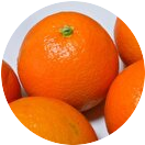 Orange Study 中大通教ブログ