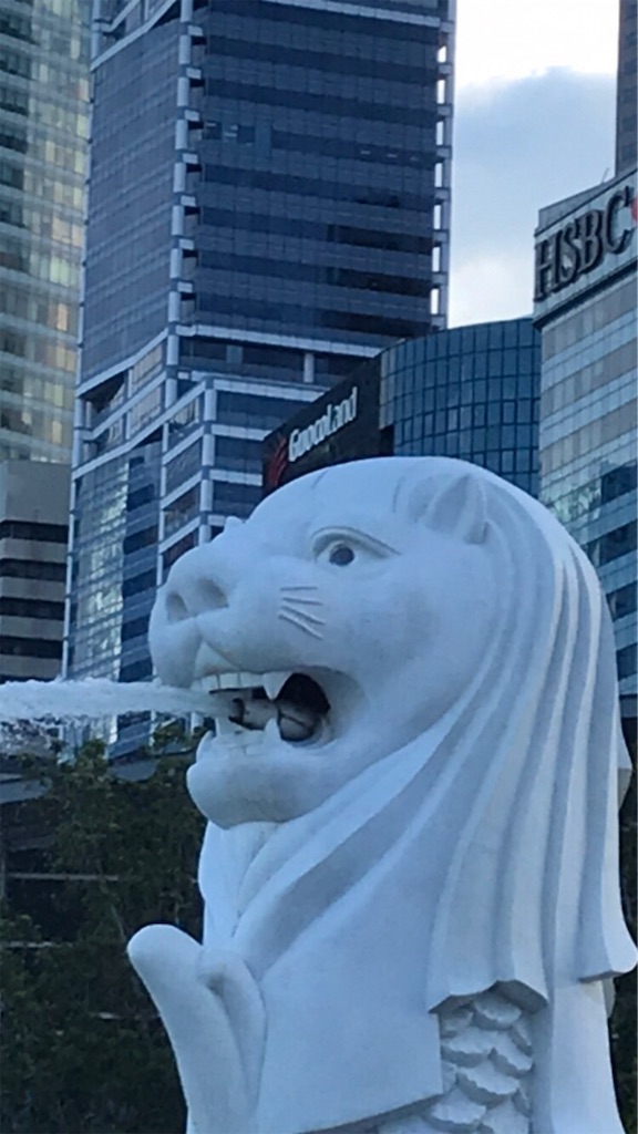 real merlion🦁 vomiting Lion - MSCM=世界一痩せこけてる保育士【世界一周完】