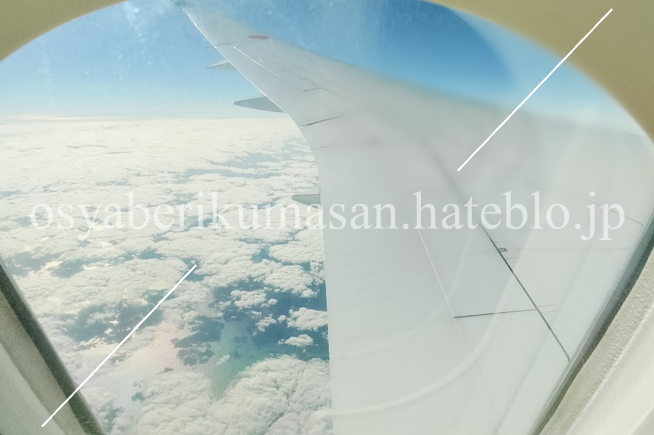 【最強トイレ】ANA787で乗れる窓付き？？？ - 旅するおしゃべりくまさん