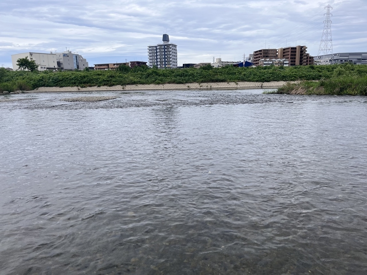 多摩川釣行記 ‘23/07/15 二子橋から移動して第三京浜下へ - 多摩川下流で釣りましょう
