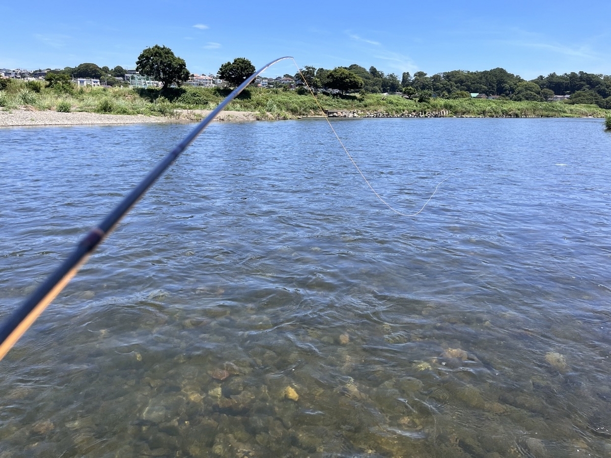多摩川釣行記 ‘23/07/16 等々力緑地前へ - 多摩川下流で釣りましょう