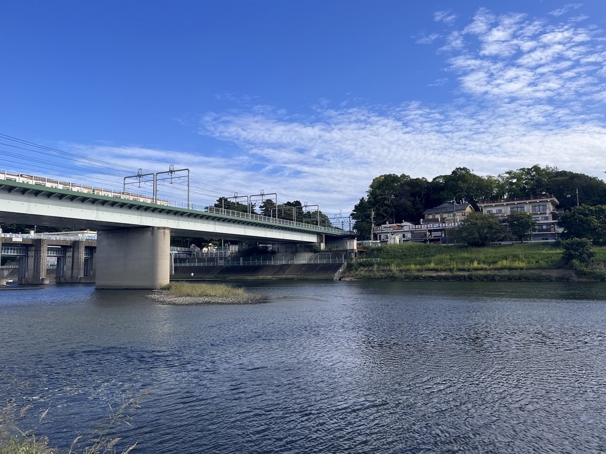 多摩川釣行記 ‘23/10/07 丸子橋のマルタウグイはどこに - 多摩川下流で釣りましょう