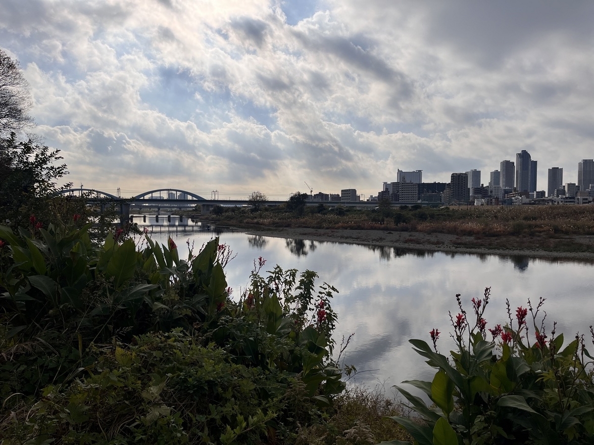 多摩川釣行記 ‘23/12/03 止水にオイカワいるんじゃないか？調布取水堰へ - 多摩川下流で釣りましょう