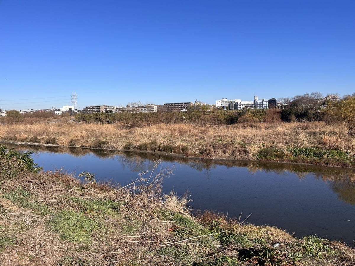 多摩川釣行記 ‘24/01/06 調布堰 温排水でボラ狙い（次は釣れる。多分） - 多摩川下流で釣りましょう