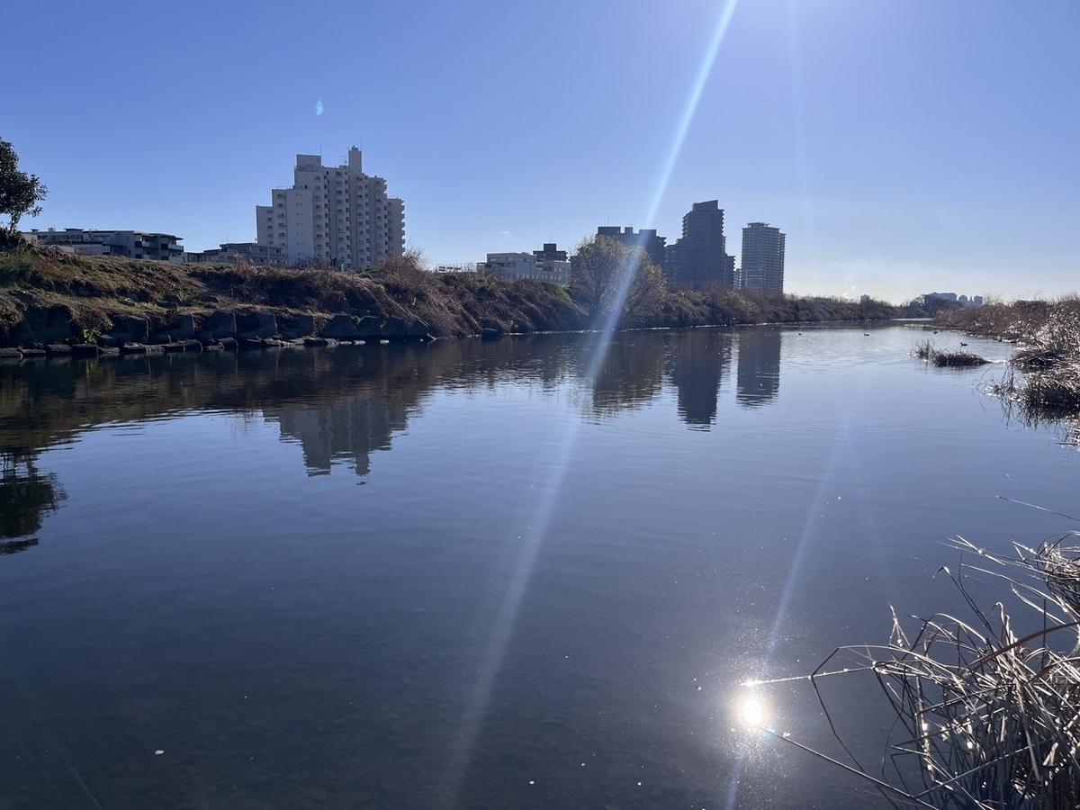 多摩川 オイカワを探して - 多摩川下流で釣りましょう