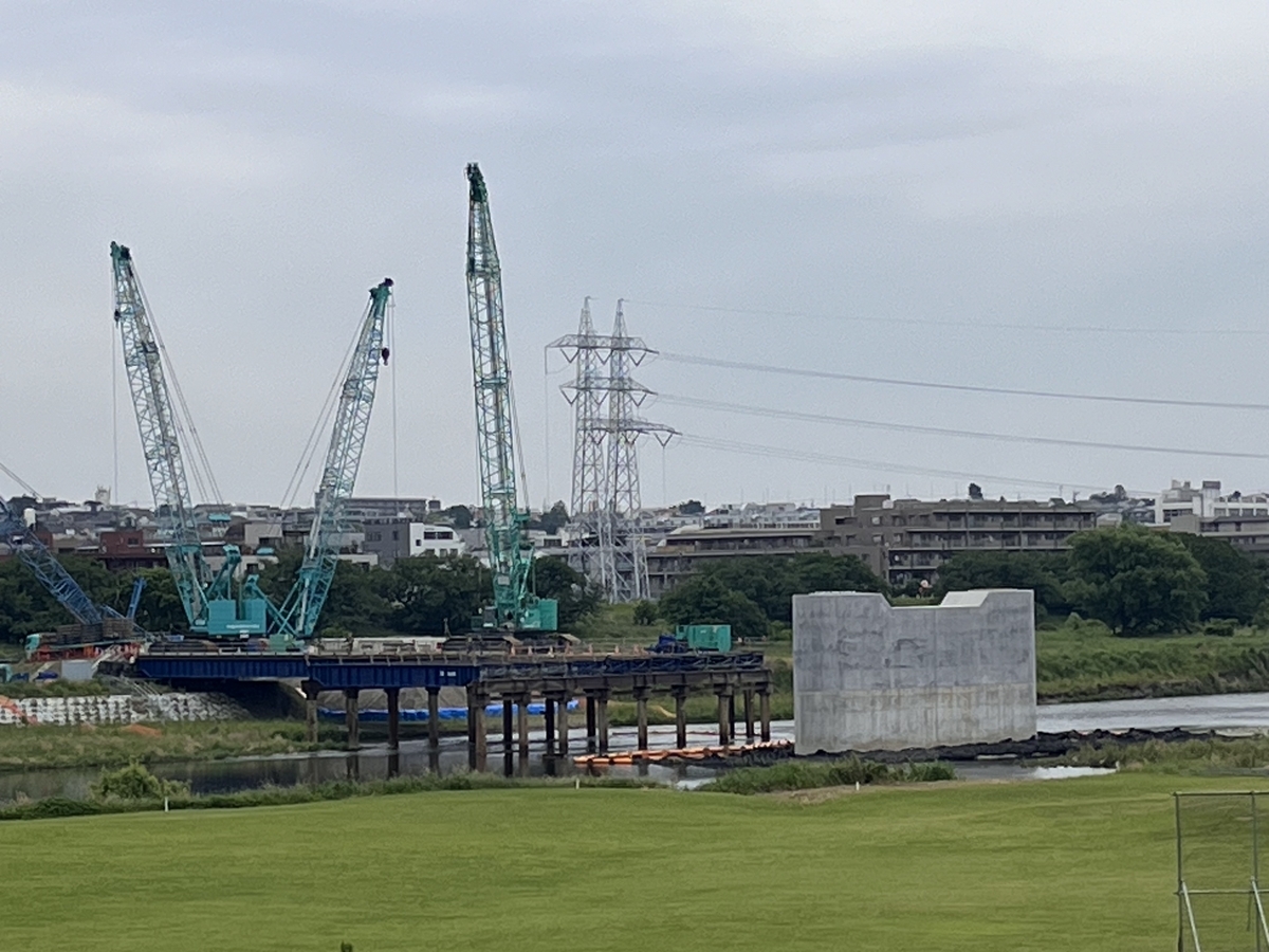 多摩川釣行記 ‘24/05/19 下流でも夏色オイカワ(番長)登場 - 多摩川下流で釣りましょう