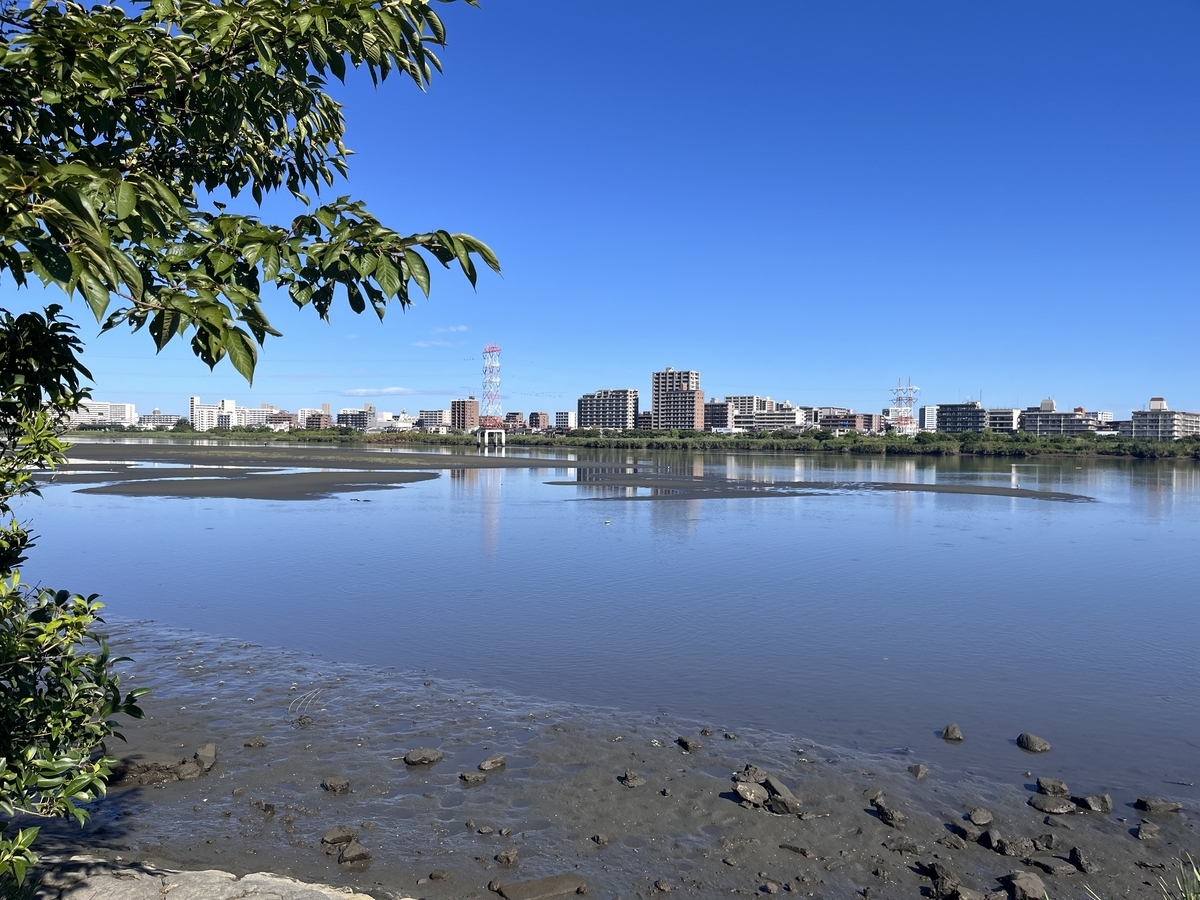 多摩川釣行記 ‘24/08/17 台風一過のドロ濁りの中で大師橋へ - 多摩川下流で釣りましょう