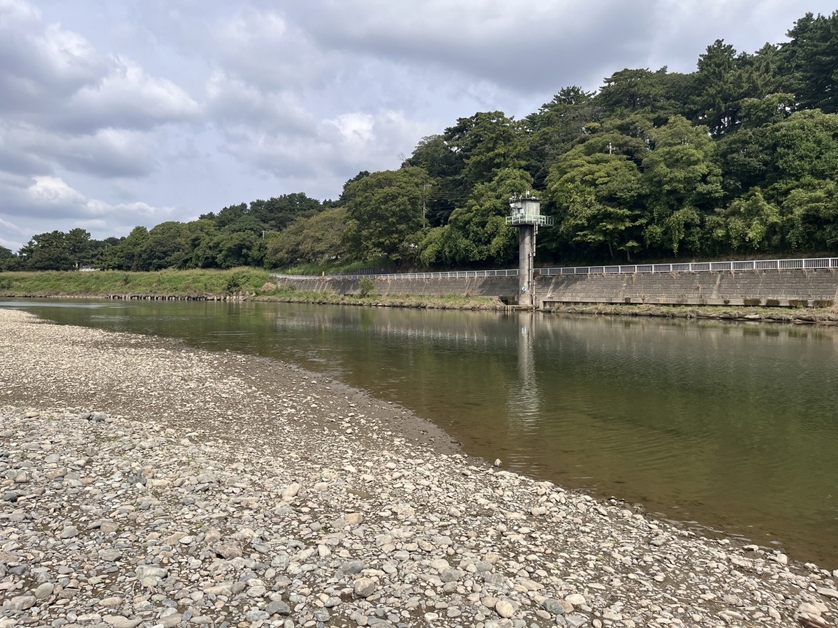 多摩川釣行記 丸子橋温排水再びと新しいフライライン - 多摩川下流で釣りましょう