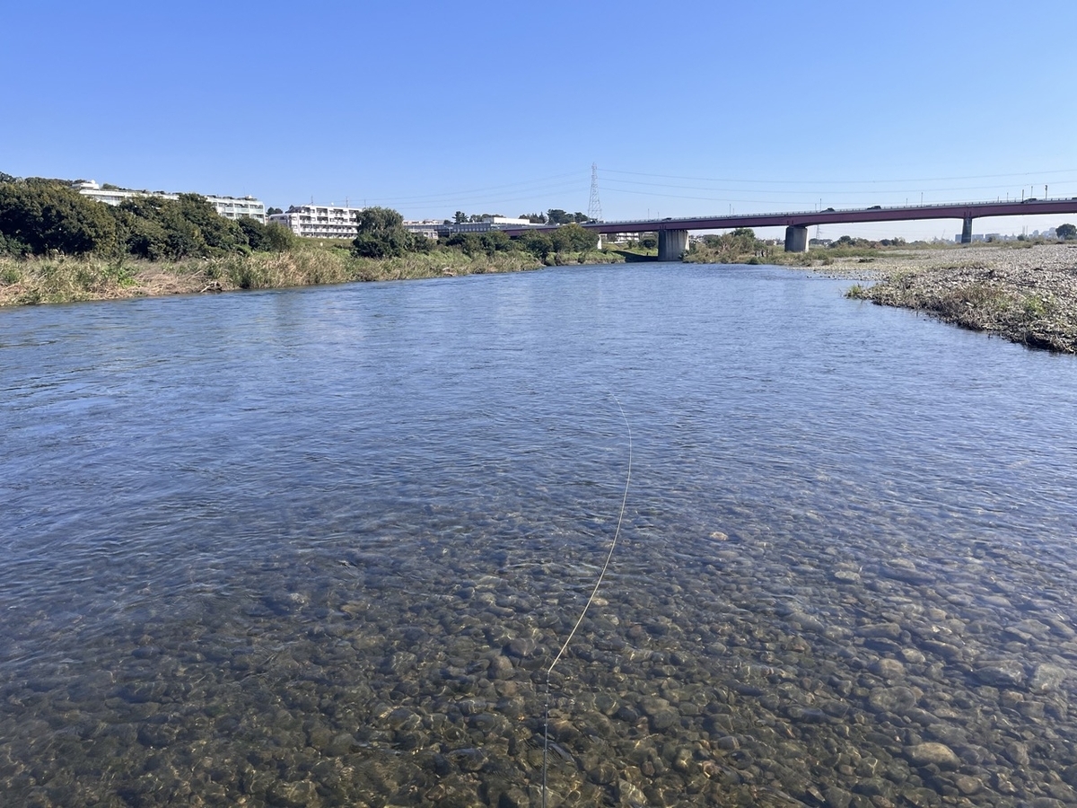 多摩川釣行記 第三京浜上は？ - 多摩川下流で釣りましょう