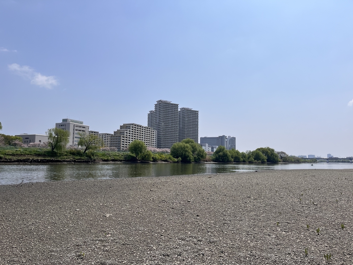 笹濁りのなかアユの遡上調査 - 多摩川下流で釣りましょう