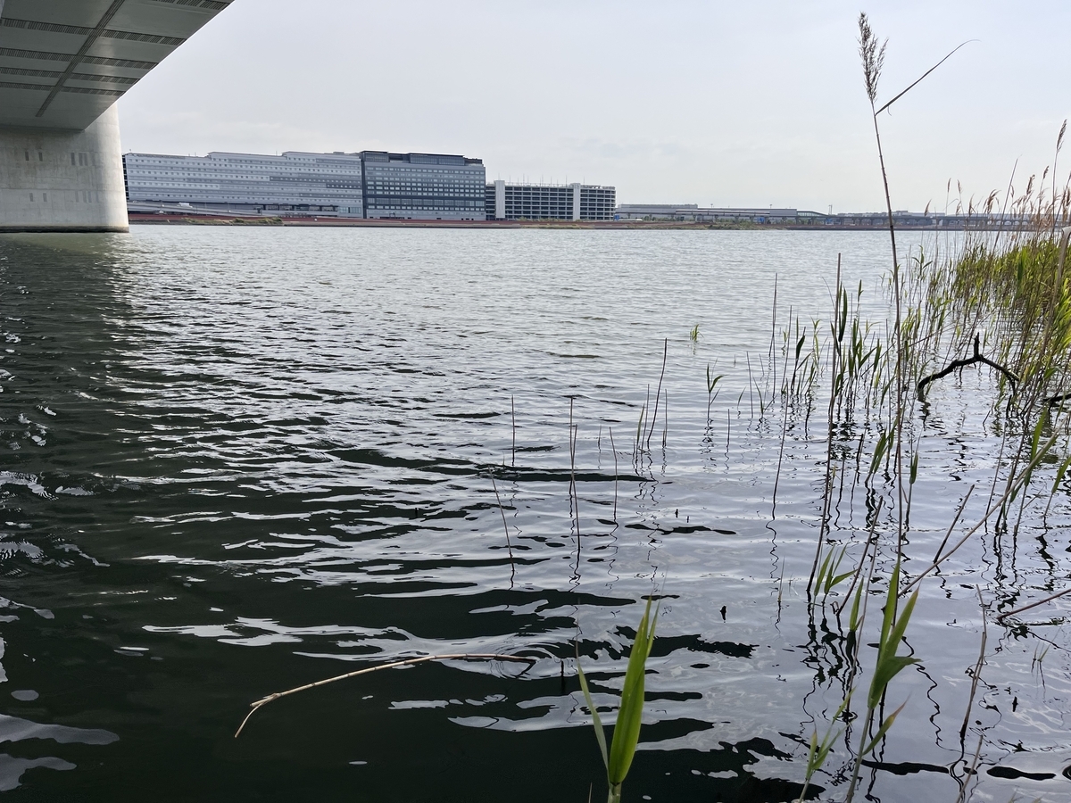 引き続き多摩川河口へ向かうも入魂ならず、更にFISH UP 秋川湖でも撃沈 - 多摩川下流で釣りましょう