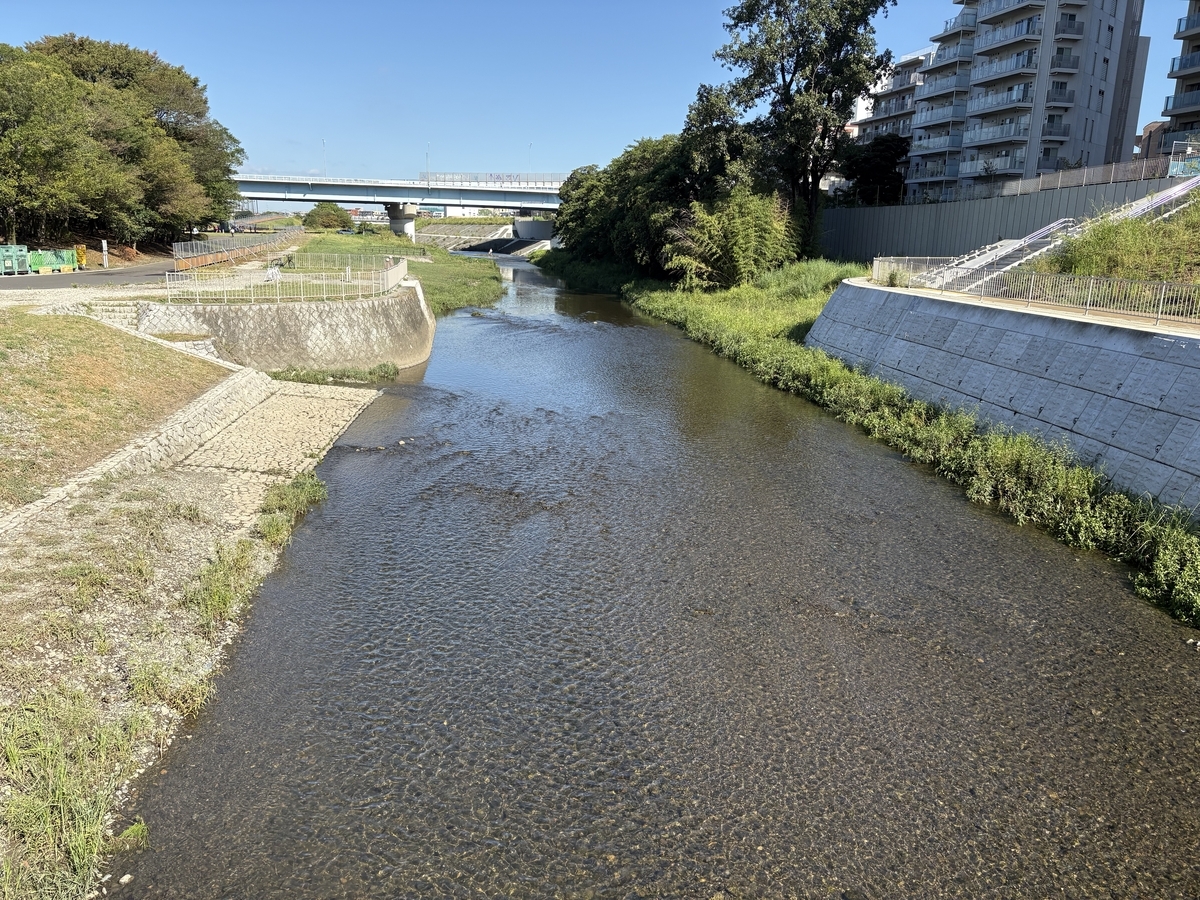 多摩川釣行記 '2025/09/06 気がつけばもう9月、台風の後の野川へ - 多摩川下流で釣りましょう