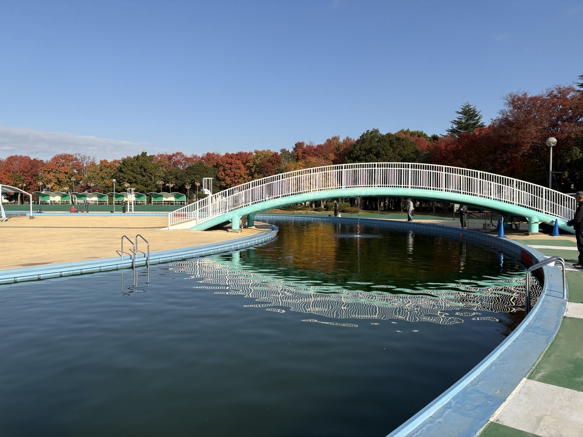 管釣り釣行記 '2025/11/15 意外と近い、しらこばと水上公園へ - 多摩川下流で釣りましょう