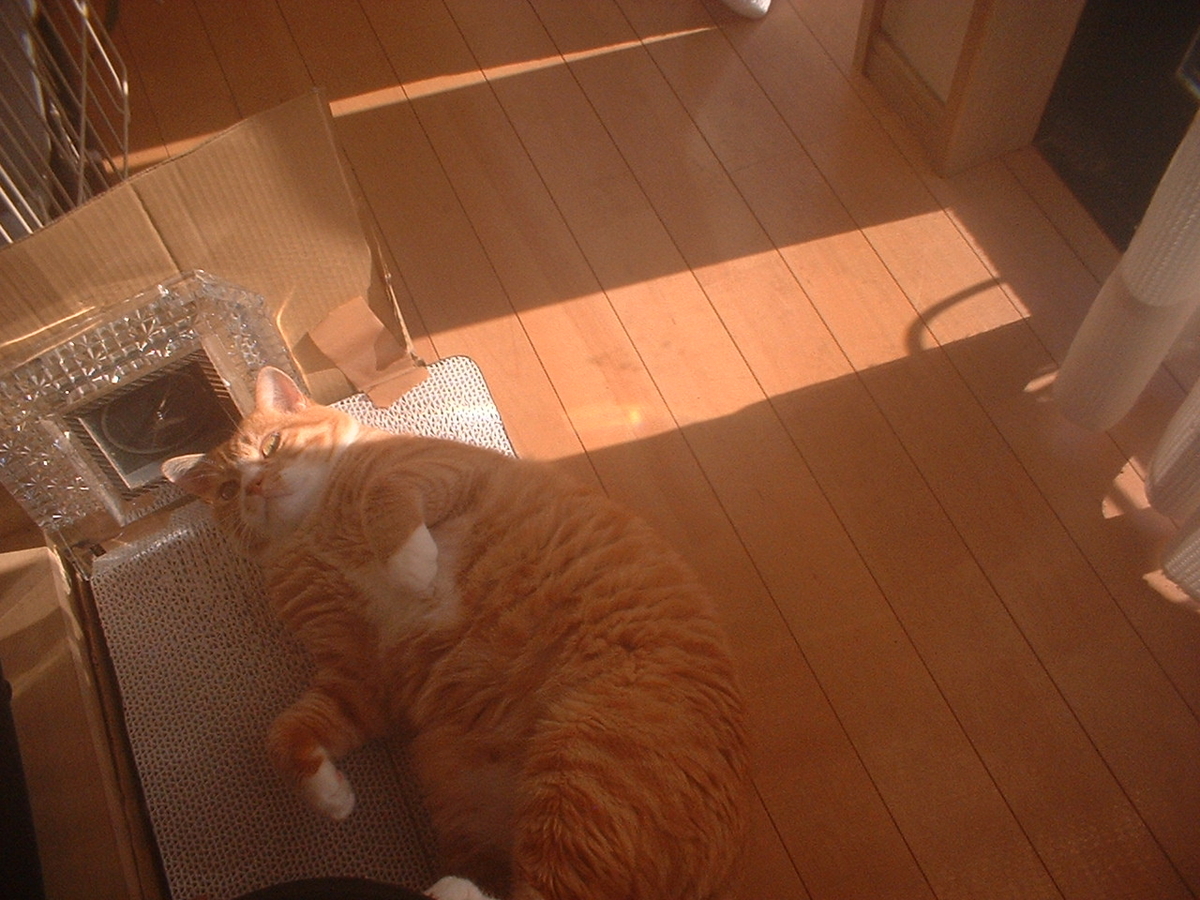 - oton_yukioyahoocojp’s blog