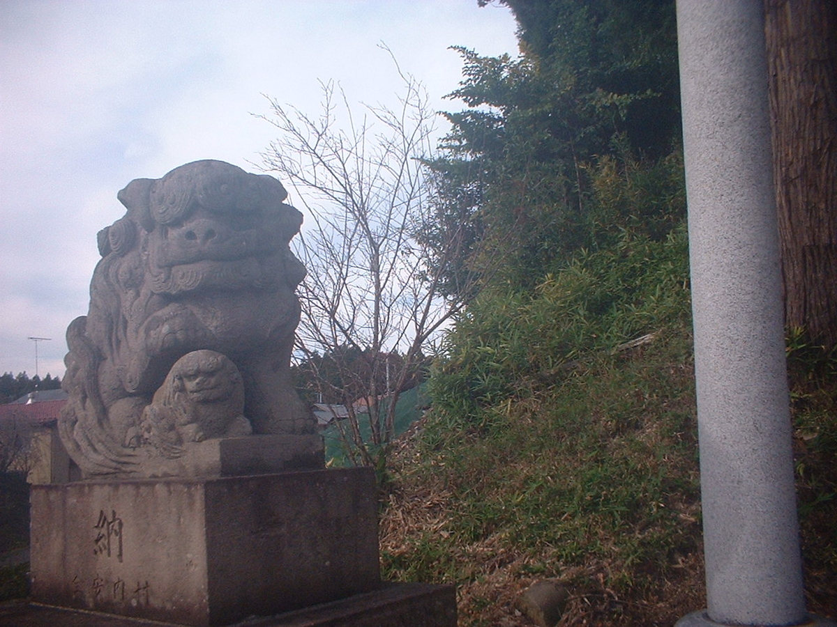 小雨の降る日曜日になっています。狛犬を見に行ってきました。 - oton_yukioyahoocojp’s blog