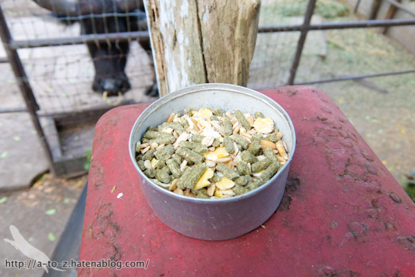 Guam Zoological Botanical and Marine Garden - A to Z - aquariums and zoos