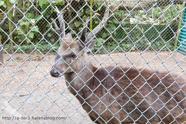 Guam Zoological Botanical and Marine Garden - A to Z - aquariums and zoos