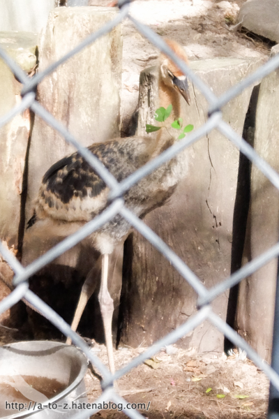 Guam Zoological Botanical and Marine Garden - A to Z - aquariums and zoos