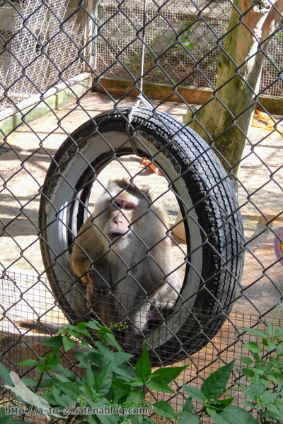 Guam Zoological Botanical and Marine Garden - A to Z - aquariums and zoos