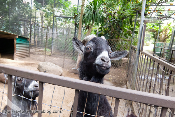 Guam Zoological Botanical and Marine Garden - A to Z - aquariums and zoos