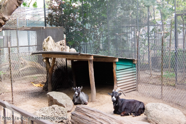 Guam Zoological Botanical and Marine Garden - A to Z - aquariums and zoos