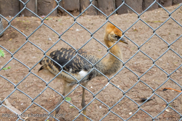 Guam Zoological Botanical and Marine Garden - A to Z - aquariums and zoos