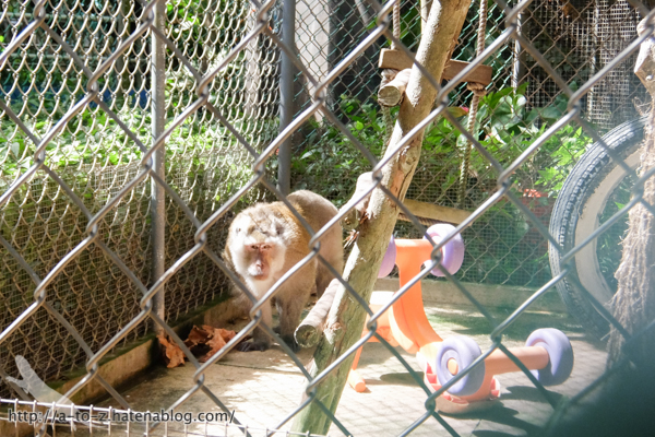 Guam Zoological Botanical and Marine Garden - A to Z - aquariums and zoos