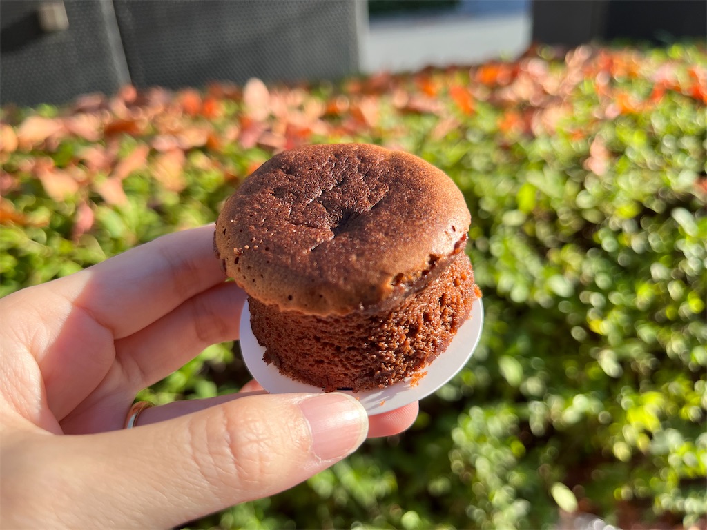 スナッフルス 蒸し焼きショコラ 4個入 10個セット 送料無料 SNAFFRES