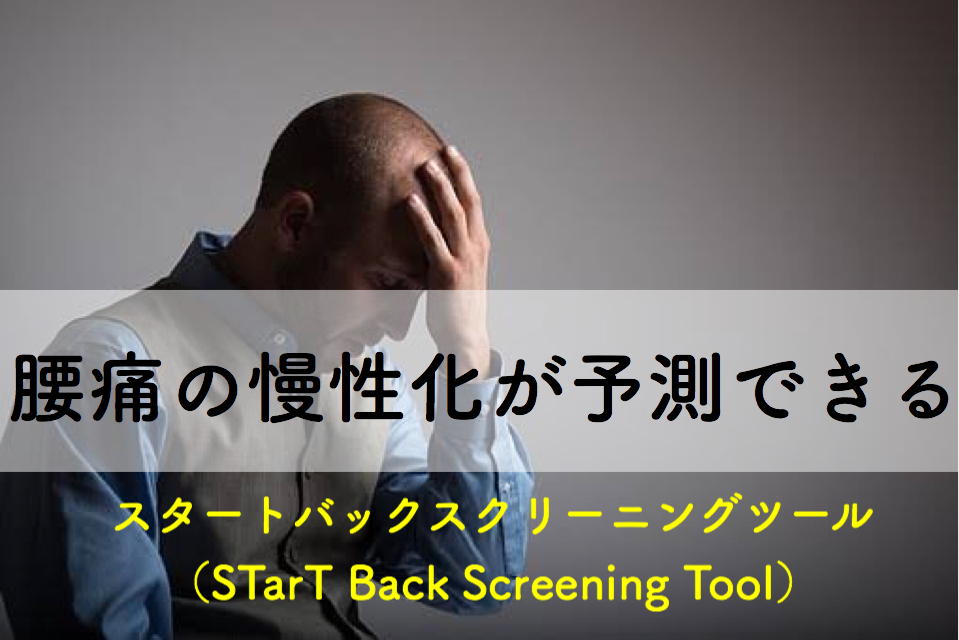 スタートバックスクリーニングツール（STarT Back screening tool）について - MAEHIROBLOG.