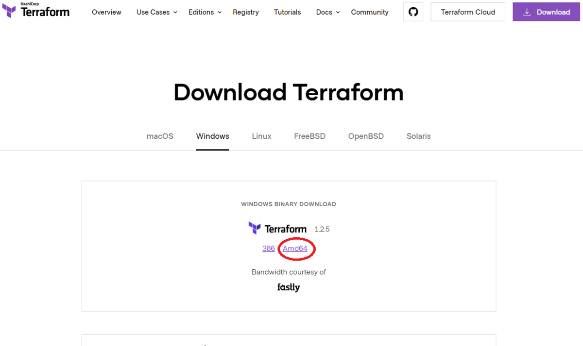 TerraformをWindowsPCにインストールしてみた。 - Programming Self-Study Notebook