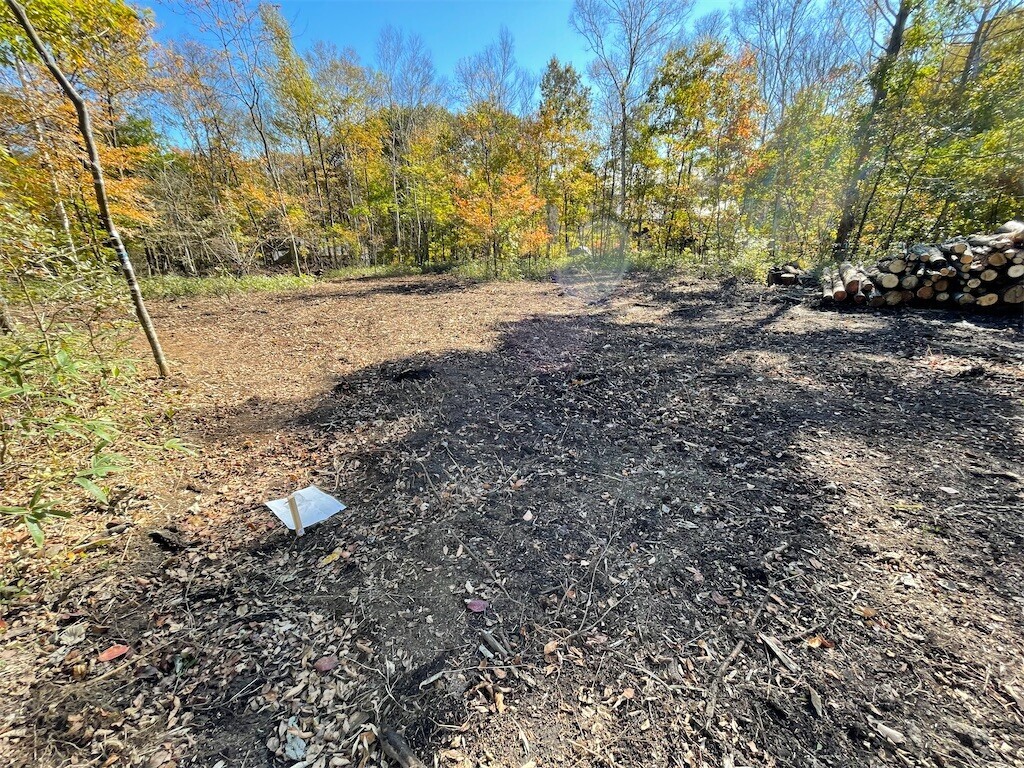 コンコード - ozakoつぶやき