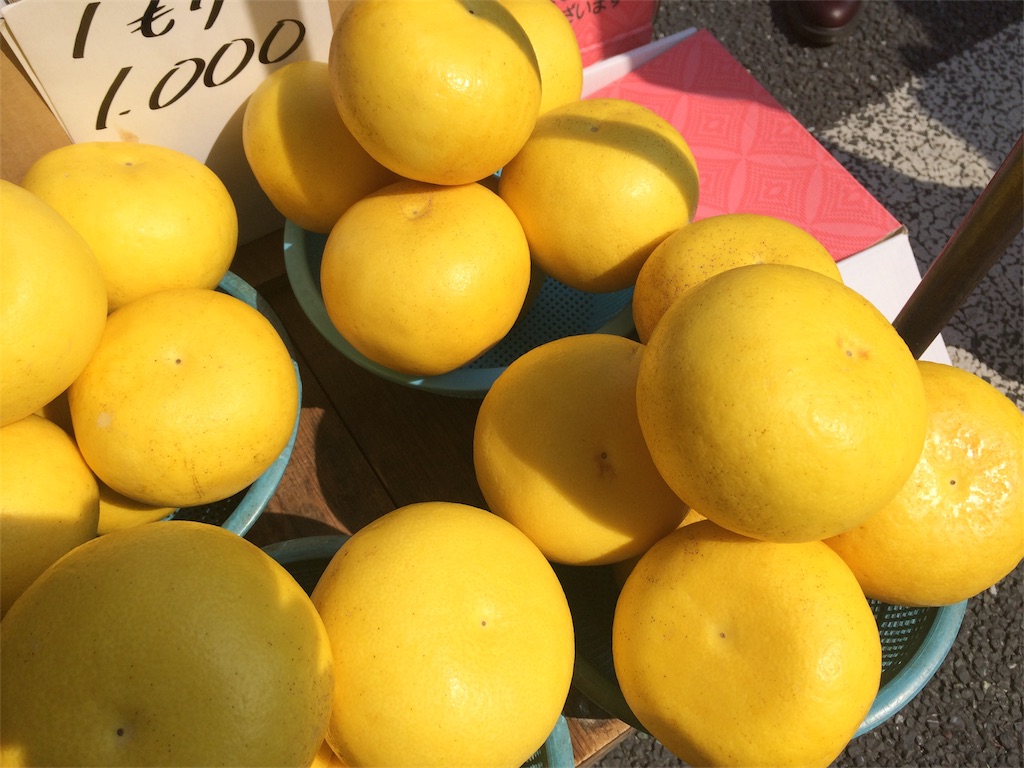 高知へ - マリコレ