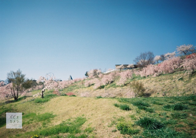 45CAMERA Basic miniの使い方♪ - 〔BLOG〕パピオカメラ│フィルムカメラのお店