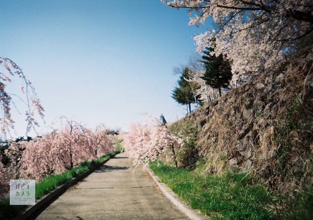 45CAMERA Basic miniの使い方♪ - 〔BLOG〕パピオカメラ│フィルムカメラのお店