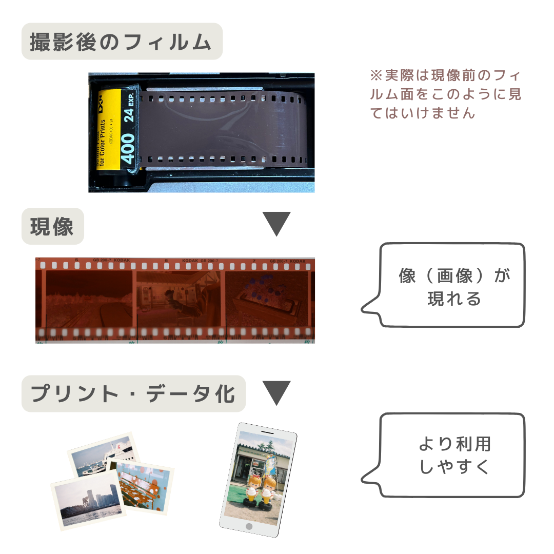 フィルムの現像の出し方 | フィルムカメラ初心者さんにもわかりやすく！ - 〔BLOG〕パピオカメラ│フィルムカメラのお店