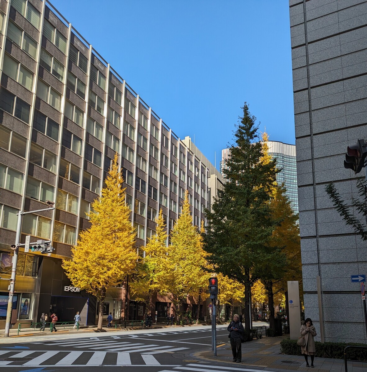 第63回全国矯正展＠東京国際フォーラム 2023 - peroon's diary