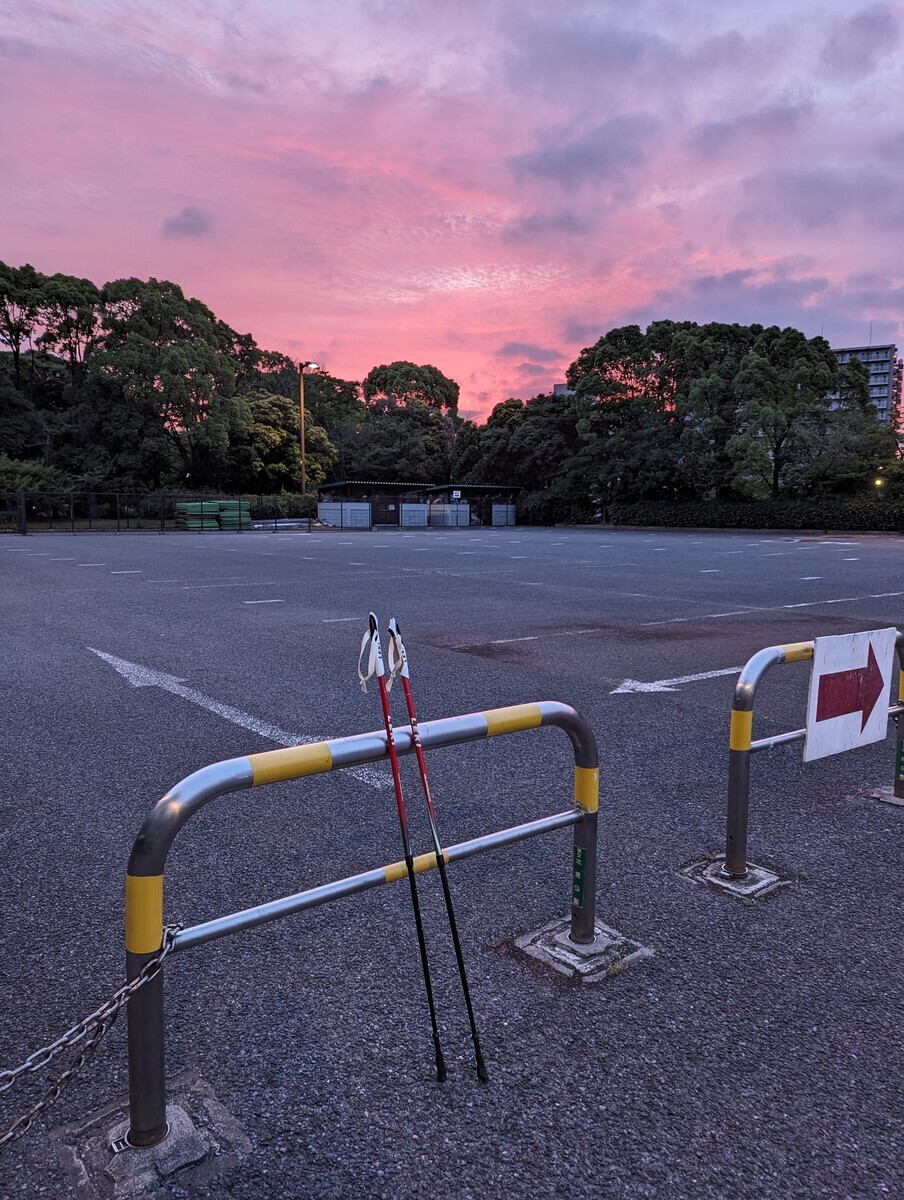 ノルディックウォーキング、始めました - peroon's diary