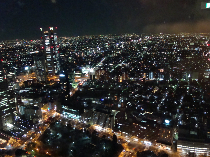 個別「[scenery][night]東京都庁 - 夜景」の写真、画像 - phirose's fotolife