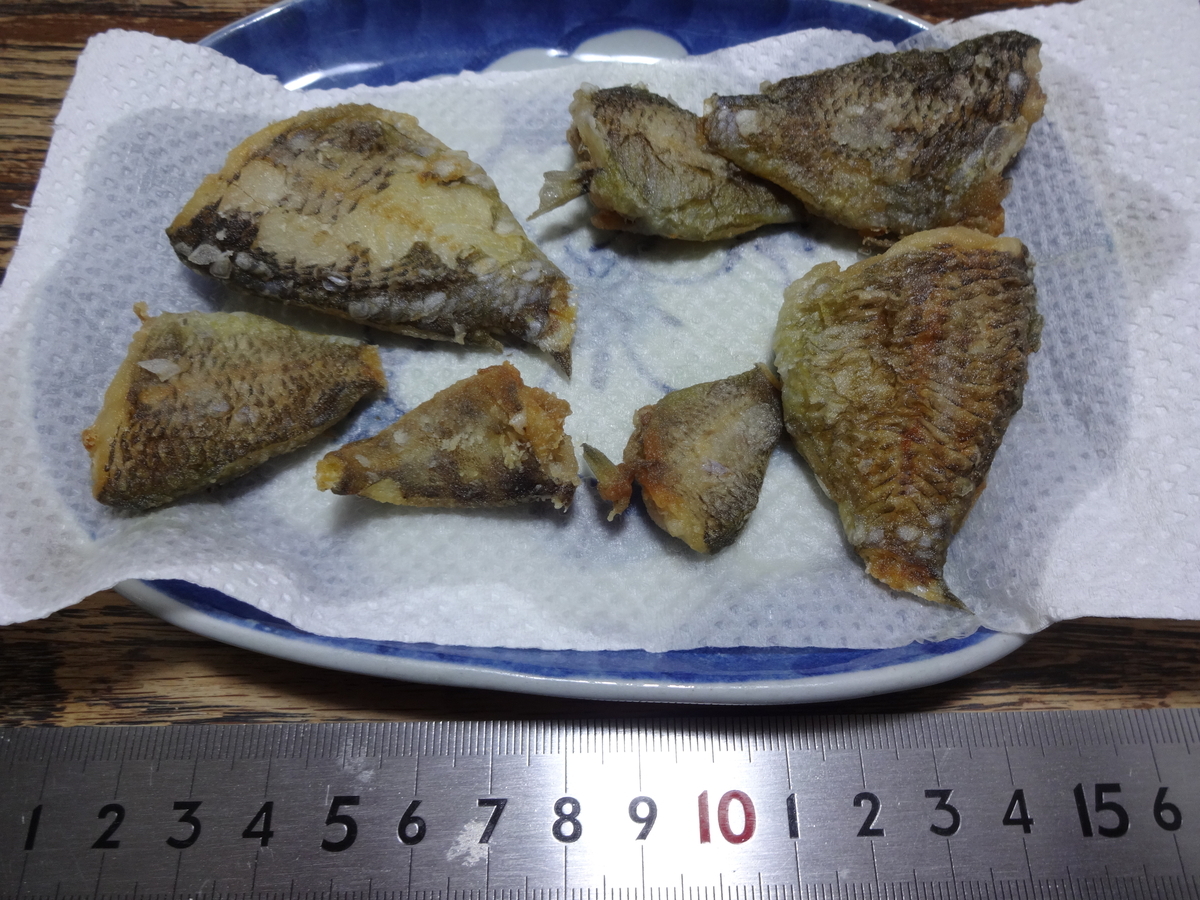 スズメダイ - photodiary0403のブログ