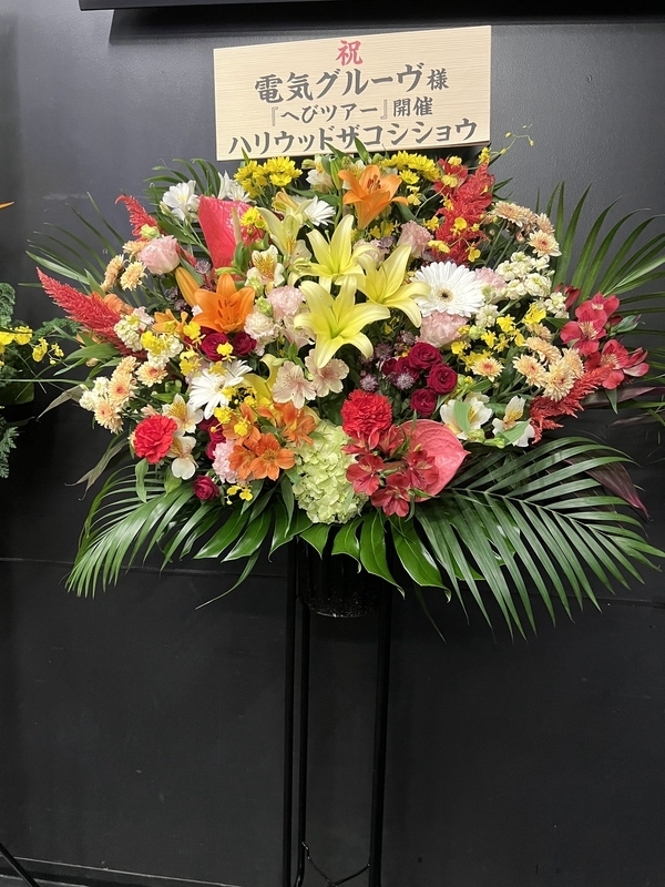 20251129 電気グルーヴ へびツアー ZeppHaneda - Down World