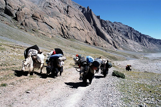 西蔵編(28)カイラス山(前編) - 旅拝