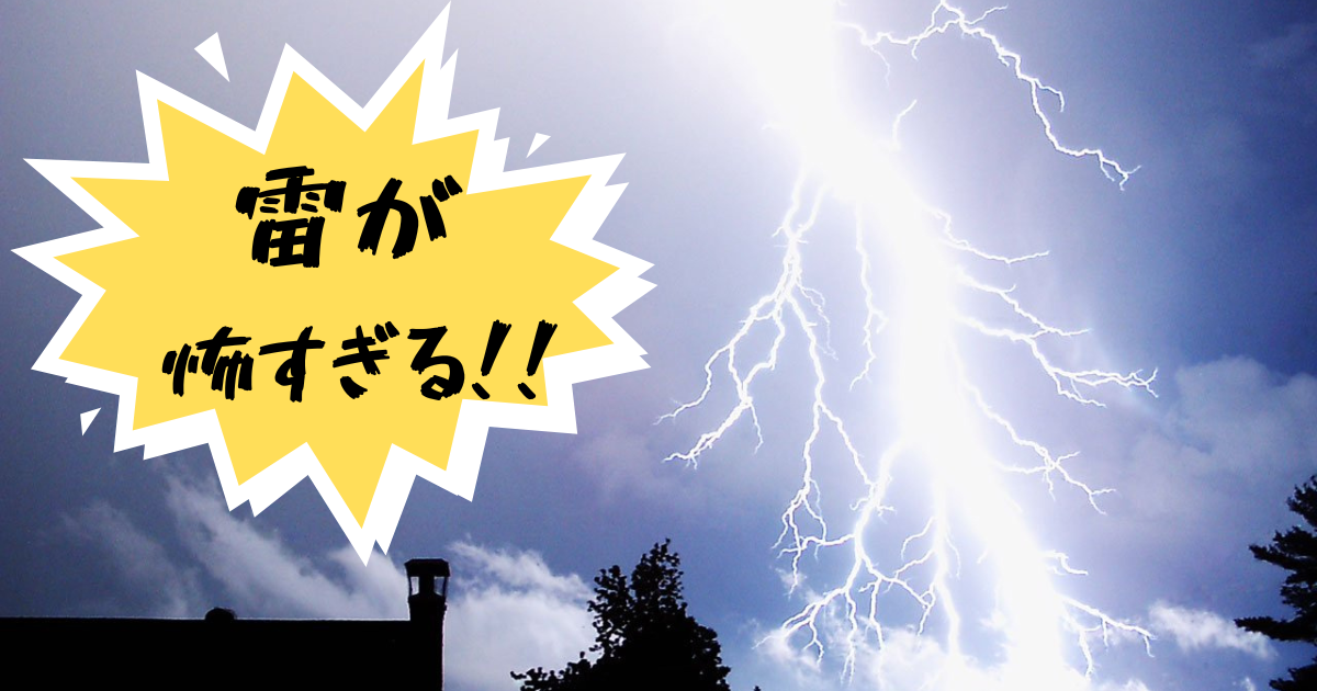 雷が怖すぎる！！【はてなブログお題】 - pipinu-blog