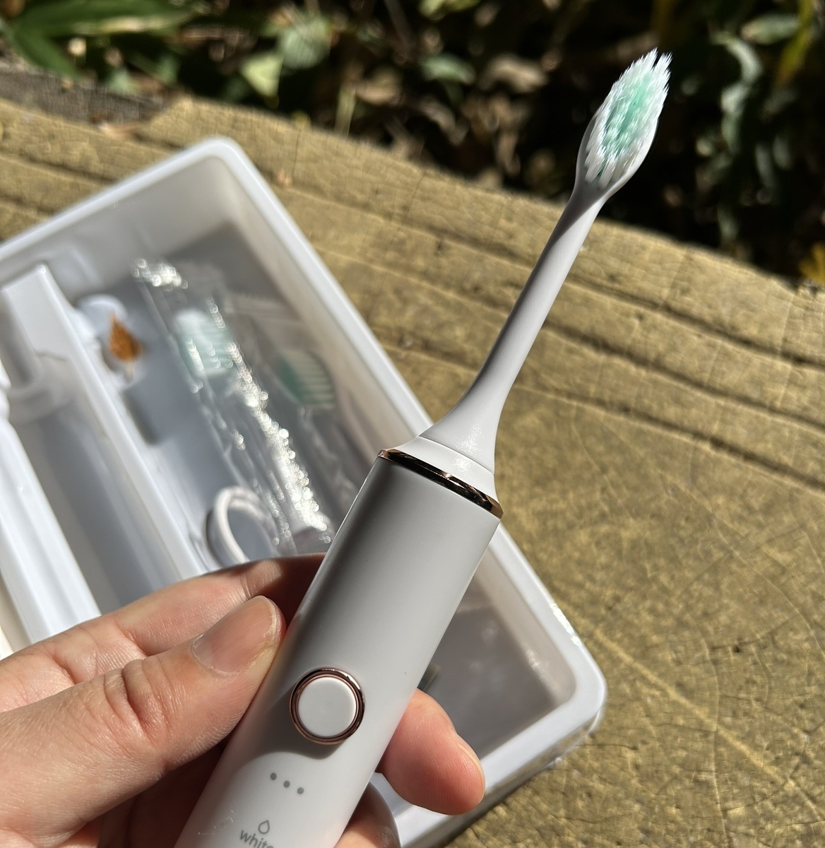 Dentaly（デンタリー） 月330円で使える電動歯ブラシの定期便（サブスクの口コミ - 私のおすすめブログ