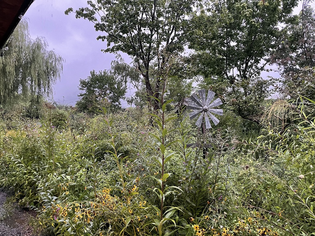ガーデンソイル - まっきーの植物紹介ブログ