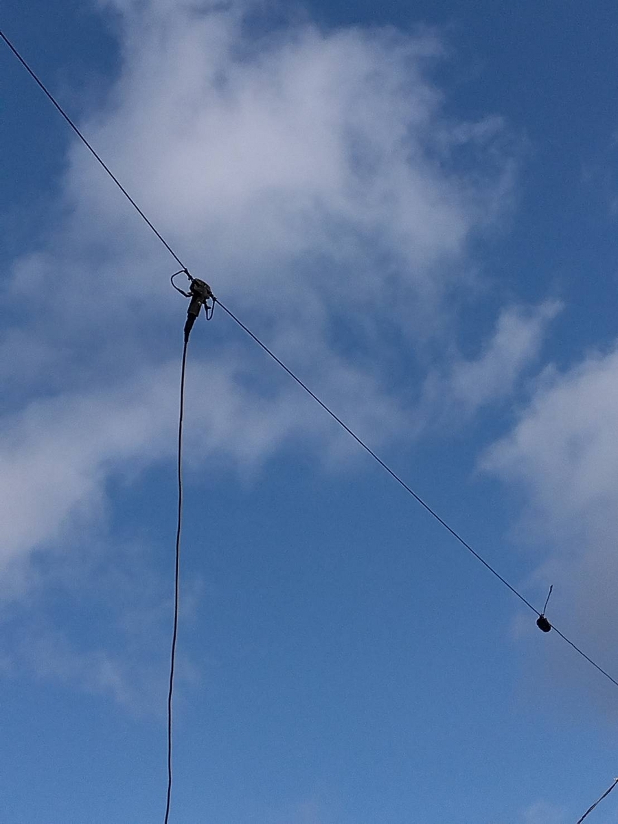 ダイアモンド製W721 - POCHIの日記