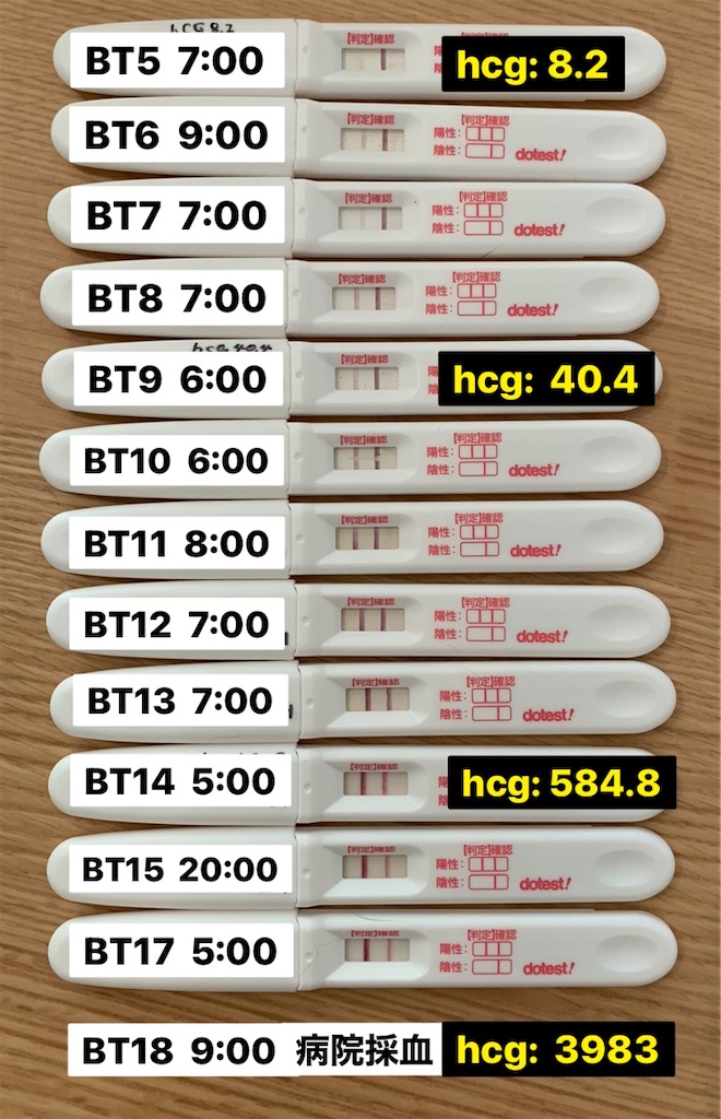 【移植2回目】BT5〜BT18 妊娠検査薬と血中hcg - しろくま不妊治療記録